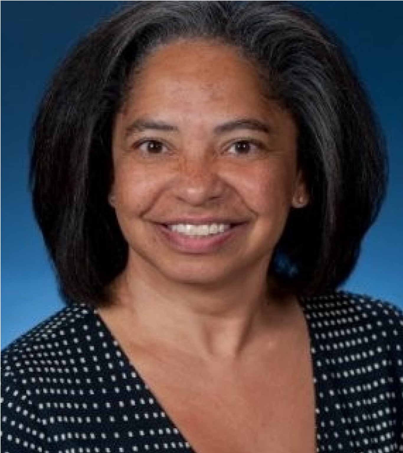 Custom Agency Partnership Management Software SaaS Solutions